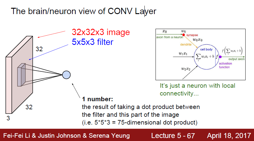 cs231n Lecture 5-2 Convolutional Neural Networks - strutive07 블로그